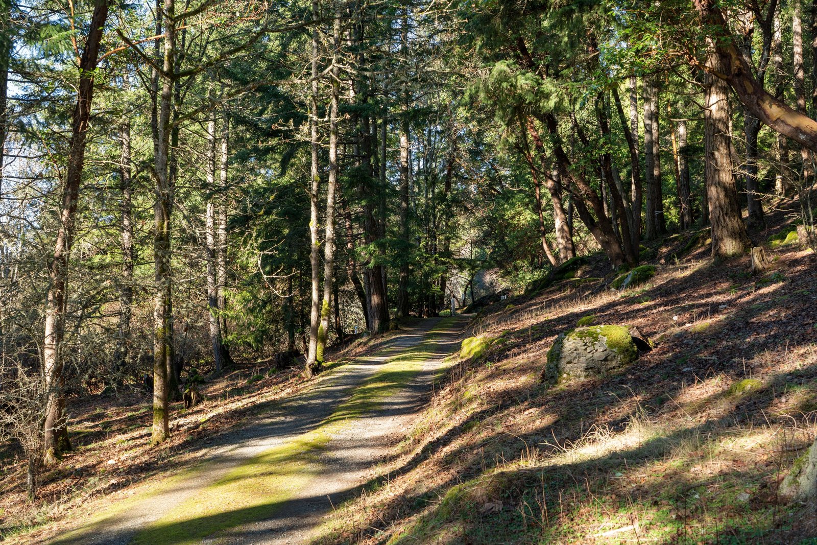 1183 Hillgrove Road - Chace Whitson