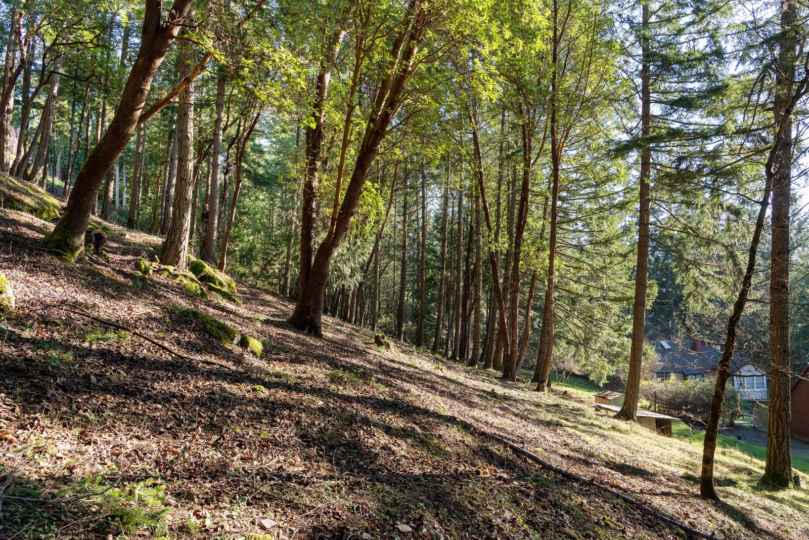 1183 Hillgrove Road - Chace Whitson