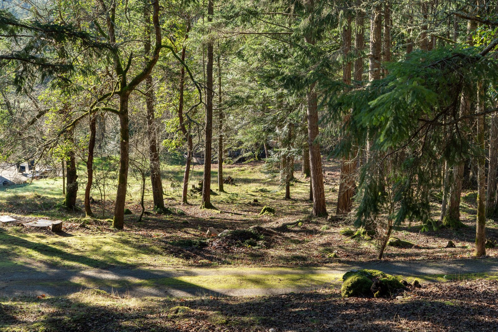 1183 Hillgrove Road - Chace Whitson